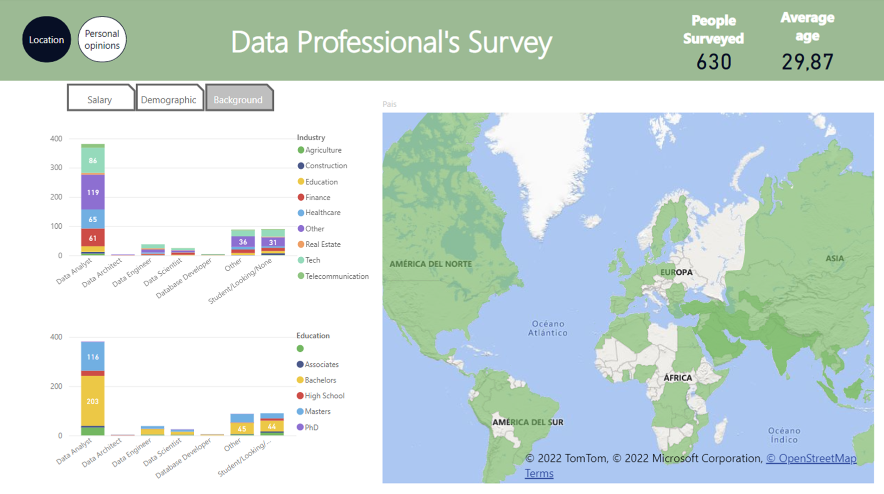 Portfolio - Data Professionals Survey
